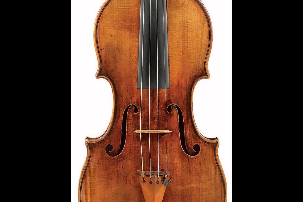 In Focus: studies of great and unusual stringed instruments | Gallery ...